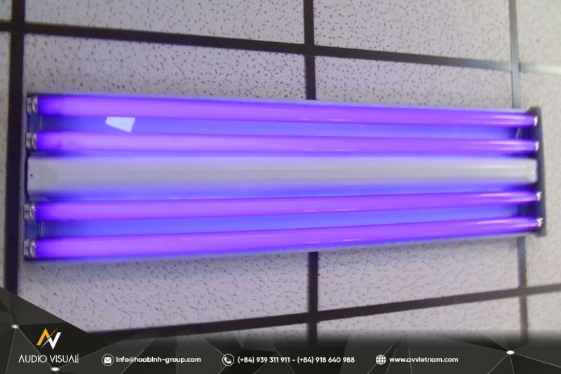 Reliable and affordable black light rental service